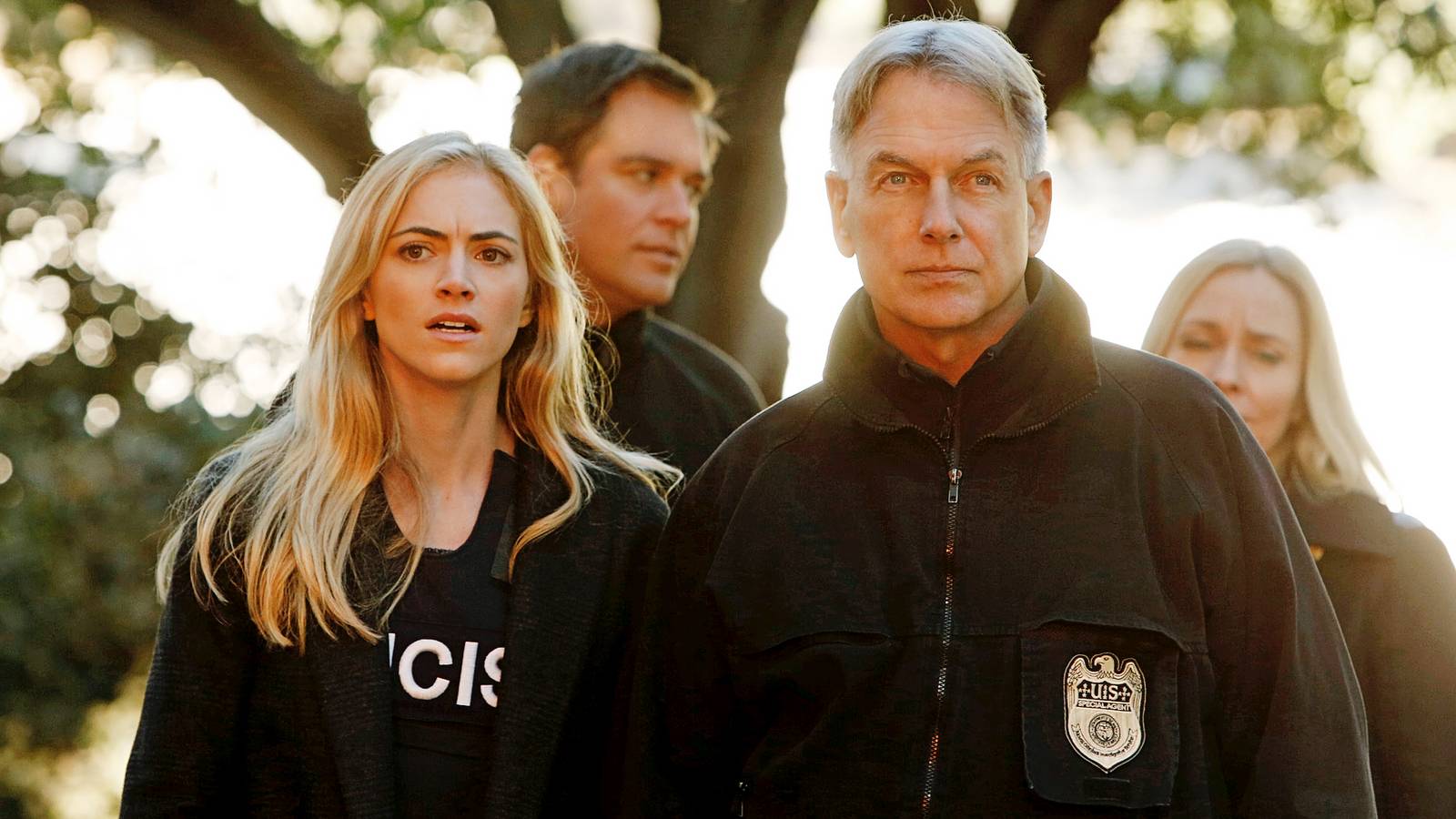 NCIS: Temporada 23 anuncia retorno de ex-membro da equipe de Gibbs